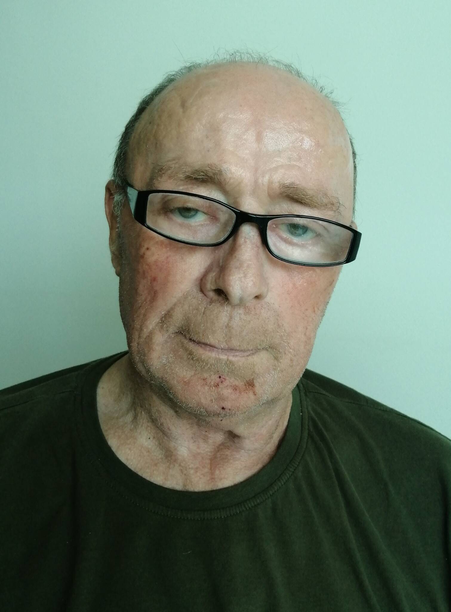 Ivan Kurnik – Almaja